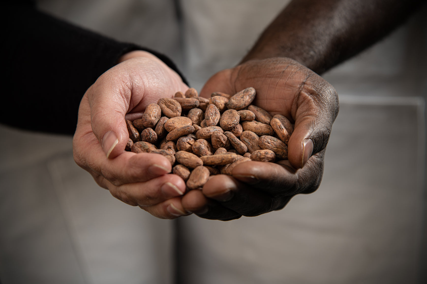 Bibamba Artisan Chocolate